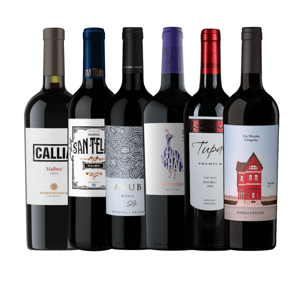 Combo Malbec Argentino - 6 Unidades | Domo Express