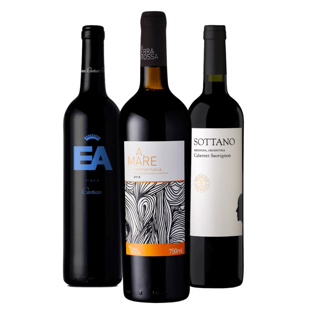 Kit Vinhos Tintos: EA Cartuxa, Primitivo A Mare, Sottano Cabernet ...